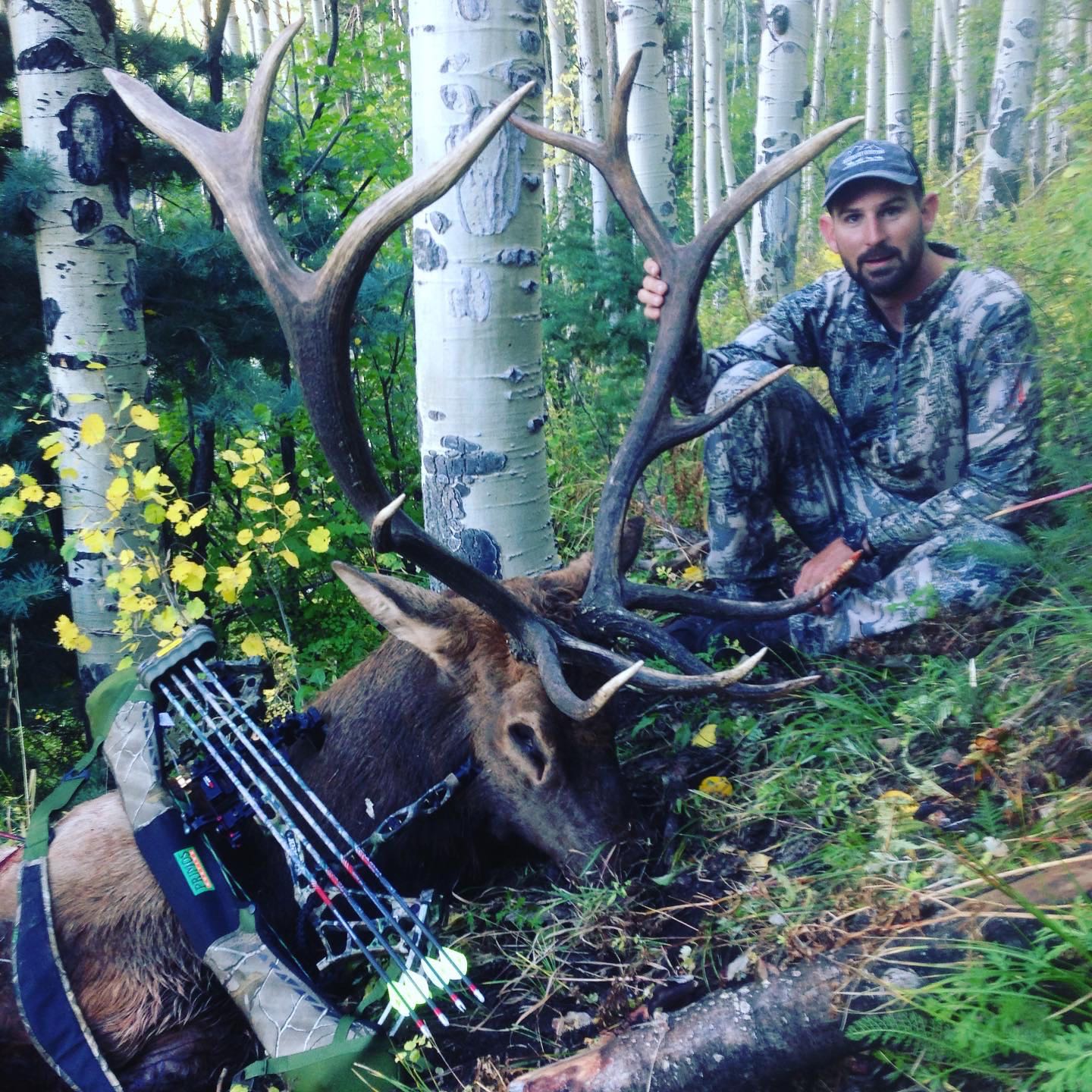 Worldwide Hunting Consultant – Billy Molls Adventures